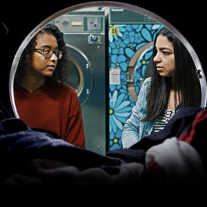 Strays - Rotten Tomatoes