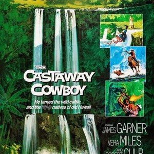 The Castaway Cowboy - Rotten Tomatoes