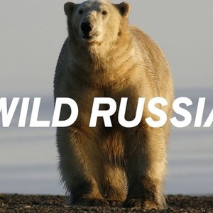 Wild Russia - Rotten Tomatoes