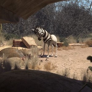 Khumba - Rotten Tomatoes