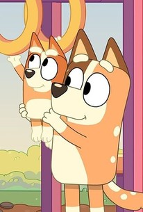 Bluey: Season 2, Episode 50 | Rotten Tomatoes