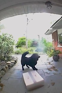 Customer Wars: Season 2, Episode 10 | Rotten Tomatoes