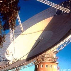 The Dish - Rotten Tomatoes