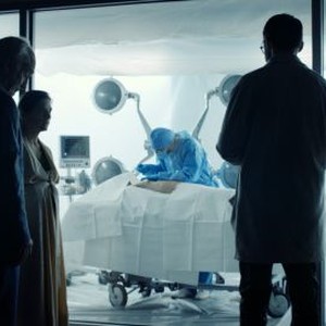 The Amaranth - Rotten Tomatoes