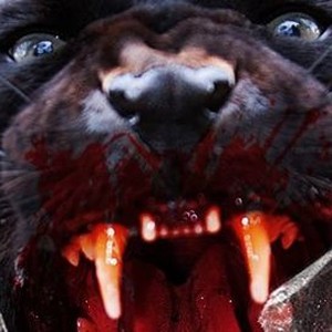 Blood Claws - Rotten Tomatoes