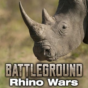 Rotten Tomatoes: Movies | TV Shows | Movie Trailers | Reviews - Rotten Tomatoes