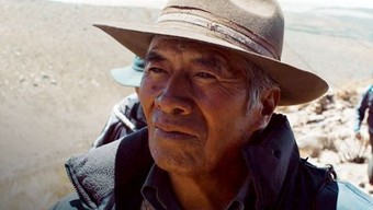 Utama - Rotten Tomatoes