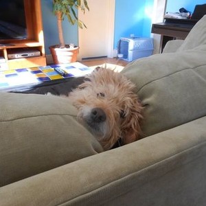 Geographically Desirable - Rotten Tomatoes