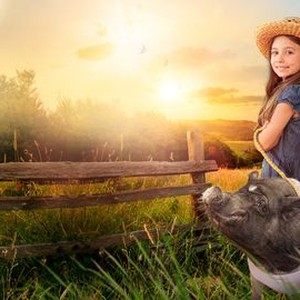 Elvis the Pig - Rotten Tomatoes