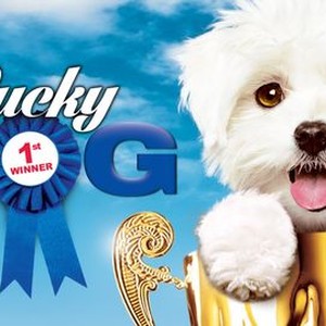 Lucky Dog - Rotten Tomatoes