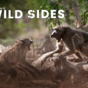 The Wild Sides - Rotten Tomatoes