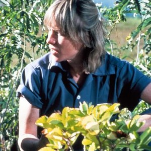 Love Child - Rotten Tomatoes