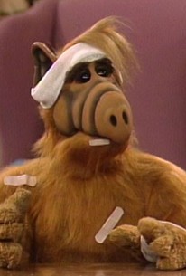 ALF: Season 3, Episode 19 | Rotten Tomatoes