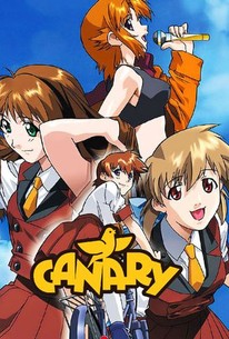 Canary | Rotten Tomatoes