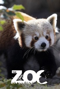 The Zoo: Season 11 | Rotten Tomatoes