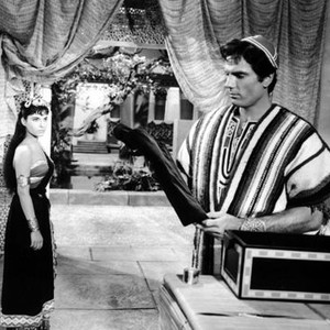 Elana Eden - Rotten Tomatoes