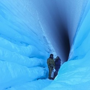 Antarctica: A Year on Ice - Rotten Tomatoes