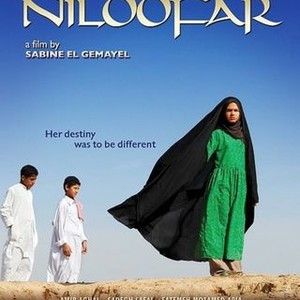 Niloofar - Rotten Tomatoes