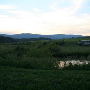 Fresh - Rotten Tomatoes