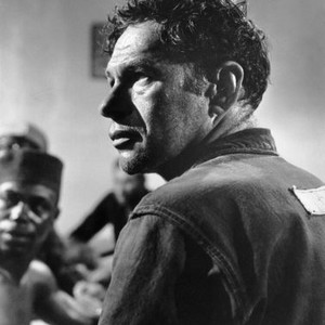 Mike Kellin - Rotten Tomatoes