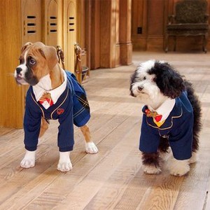 Pup Academy: Season 1, Episode 4 - Rotten Tomatoes