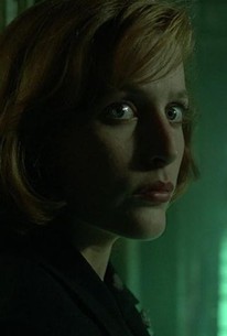 The X-Files: Season 3, Episode 5 | Rotten Tomatoes