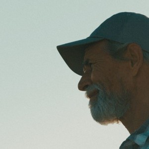 Moss - Rotten Tomatoes