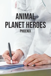 Animal Cops: Detroit: Season 8, Episode 15 | Rotten Tomatoes