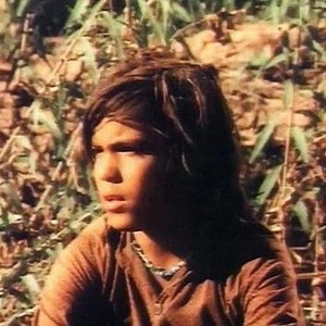 The Red Fury - Rotten Tomatoes