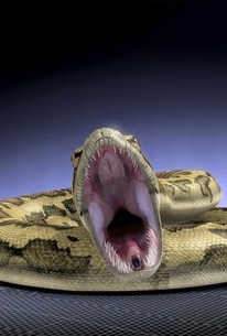 MonsterQuest: Season 2, Episode 5 | Rotten Tomatoes