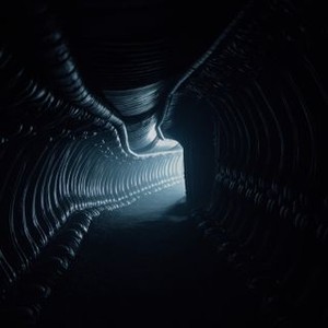 Alien: Covenant - Rotten Tomatoes