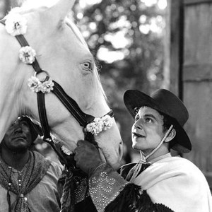 William Collier Jr. - Rotten Tomatoes