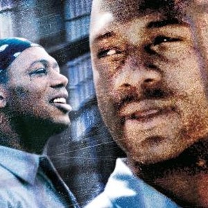 Lockdown - Rotten Tomatoes