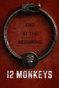 12 Monkeys | Rotten Tomatoes