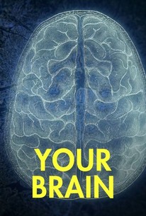 Your Brain | Rotten Tomatoes