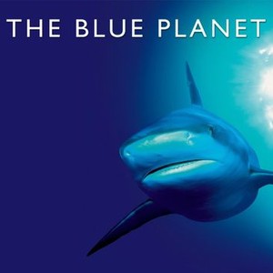 The Blue Planet - Rotten Tomatoes