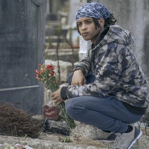 Harry Wild - Rotten Tomatoes