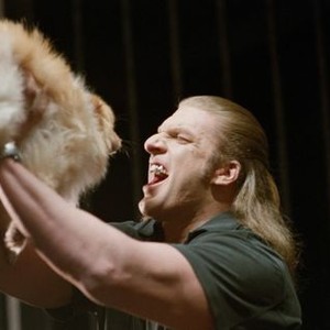 The Chaperone - Rotten Tomatoes