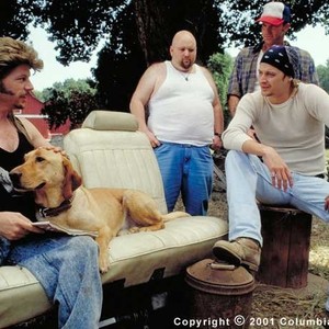 Joe Dirt - Rotten Tomatoes