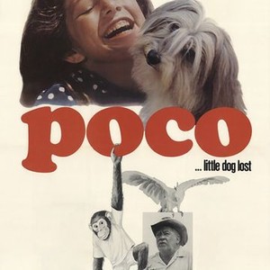 Poco - Rotten Tomatoes