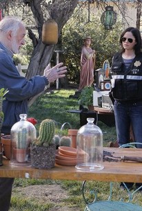 CSI: Crime Scene Investigation: Season 11, Episode 16 | Rotten Tomatoes