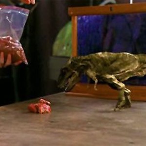 Wicked Science: Season 1, Episode 26 - Rotten Tomatoes