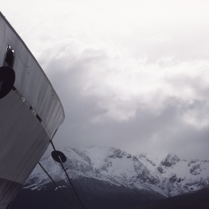 Red Knot - Rotten Tomatoes