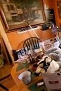 How Clean Is Your House?: Season 6, Episode 3 | Rotten Tomatoes