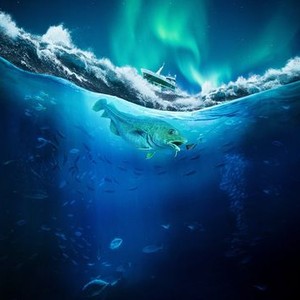 Ice Cold Catch - Rotten Tomatoes