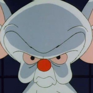 Animaniacs Meet Minerva