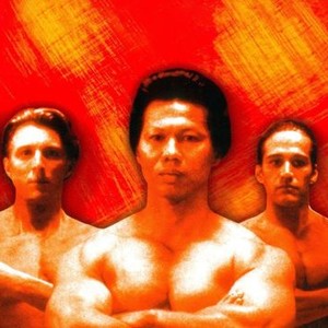 Shootfighter 2 - Rotten Tomatoes