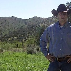 Split Estate - Rotten Tomatoes