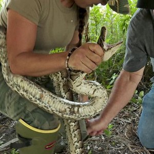 Swamp People: Serpent Invasion: Season 3, Episode 15 - Rotten Tomatoes