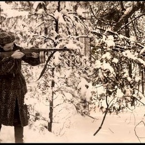 Four Winters: A Story of Jewish Partisan Resistance and Bravery in WWII - Rotten Tomatoes